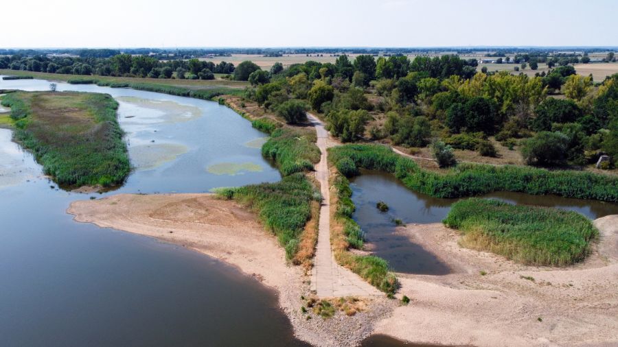 Niski stan rzeki Odry w Zachodniopomorskiem