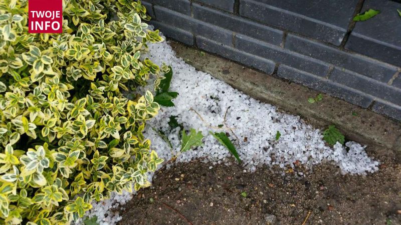 Gradobicie w Polsce | TVP INFO