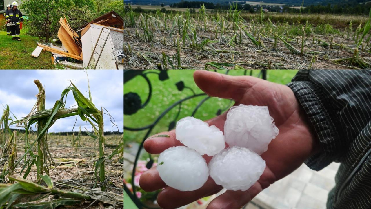 Severe hailstorm devastates municipality in southeastern Poland