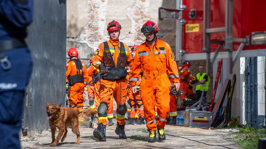 Zawaliła się ściana budynku. Psy ratunkowe przeszukują gruzy [ZDJĘCIA]