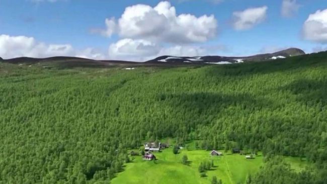 Teleexpress Extra | TVP INFO